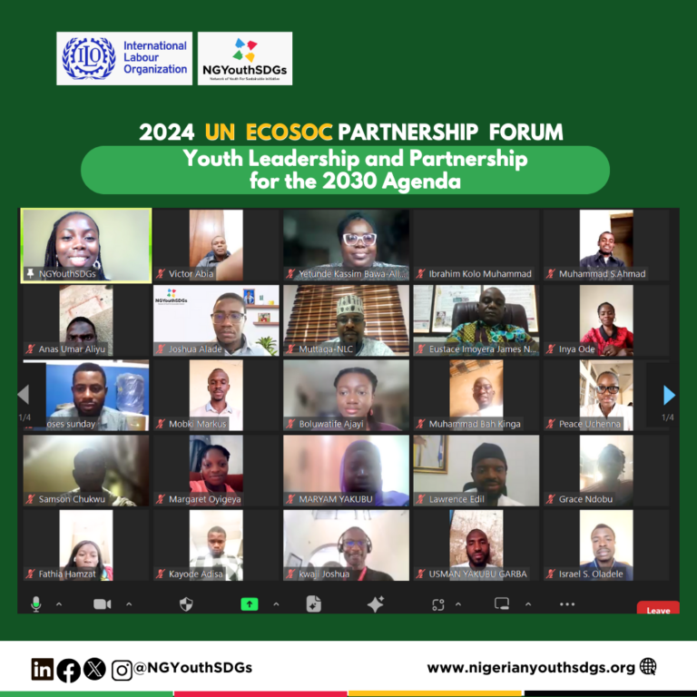 Press Release - Nigeria Youth SDG